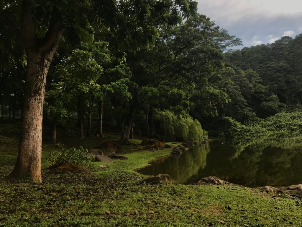 Photography - The Little Guilin In Singapore - NickedEye . Singapore